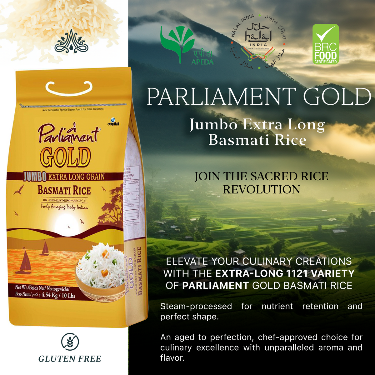 Parliament Gold Jumbo Extra Long Basmati Rice -10 lbs - Aryaa Organic